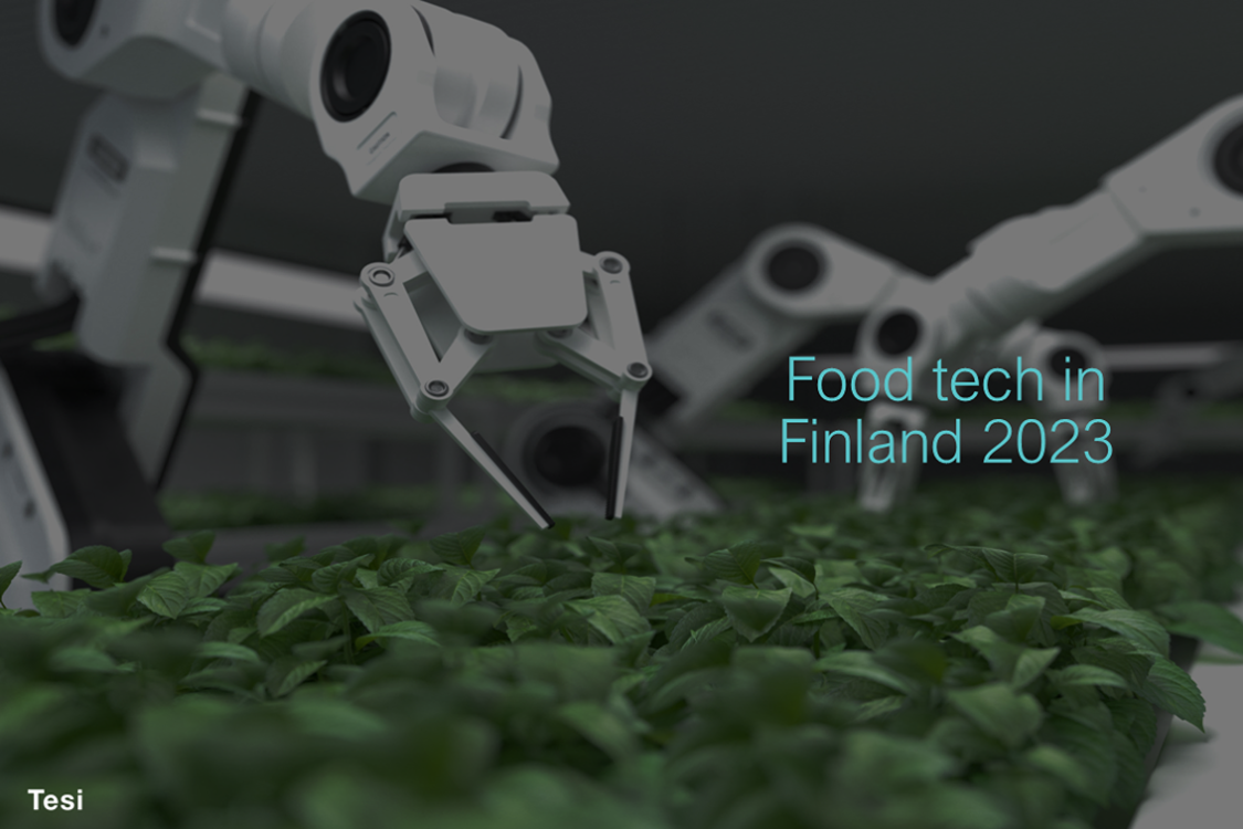 Finnish FoodTech sector has developed - tesi.fi